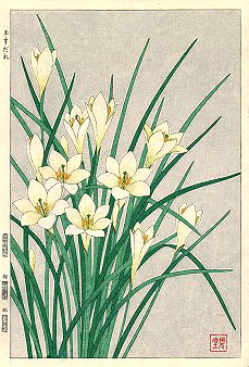 hanga gallery . . . torii gallery: Crocus by Kawarazaki Shodo